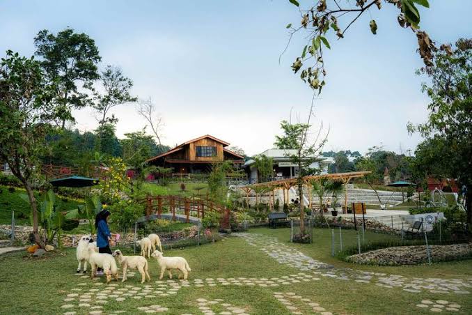 5 Wisata Sentul Terbaru 2025 yang Lagi Hits, Cocok Buat Healing Tipis-tipis di Long Weekend ...